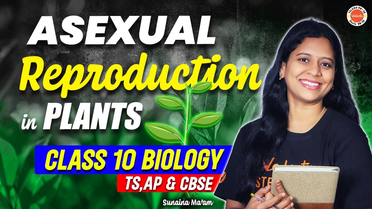 Asexual reproduction in plants | Class 10 Biology | TS,AP & CBSE - YouTube