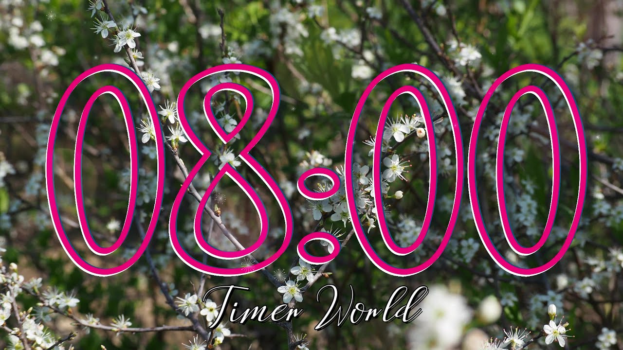 8 Minute Spring Timer with Relaxing Music and Silent Alarm 🌸 Meditation ...