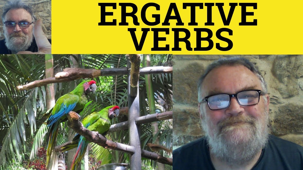 Ergative Verbs English Grammar Ergative Meaning Ergative ergative-verbs-english-grammar-ergative-meaning-ergative
