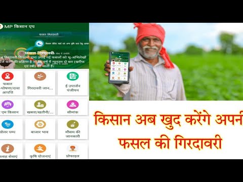 mp kisan app fasal kaise chadaye । एमपी किसान ऐप से फसल कैसे दर्ज करे । एमपी किसान ऐप फसल ...