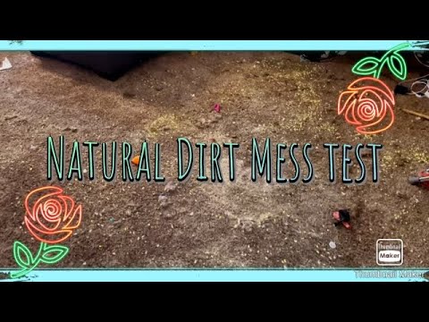 Natural vacuuming + Mess Test With All My Natural Dirt 🤩🤩 | Vacuum ...