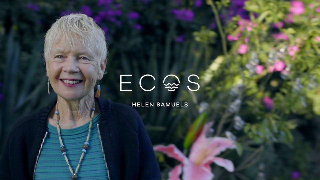 Helen Samuels - Ecos - YouTube