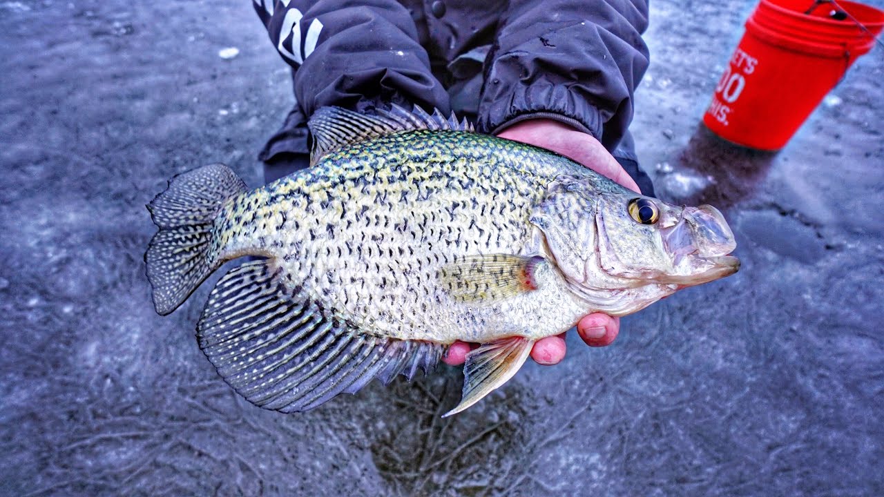 MICRO Plastics For HUGE CRAPPIE!!! (Early Ice) - YouTube