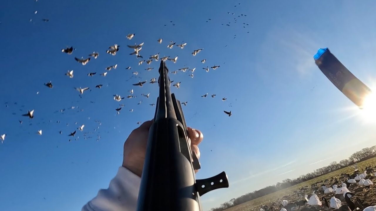 Spins of SNOW GEESE in our Faces!!! Epic Snow Goose Hunt - YouTube