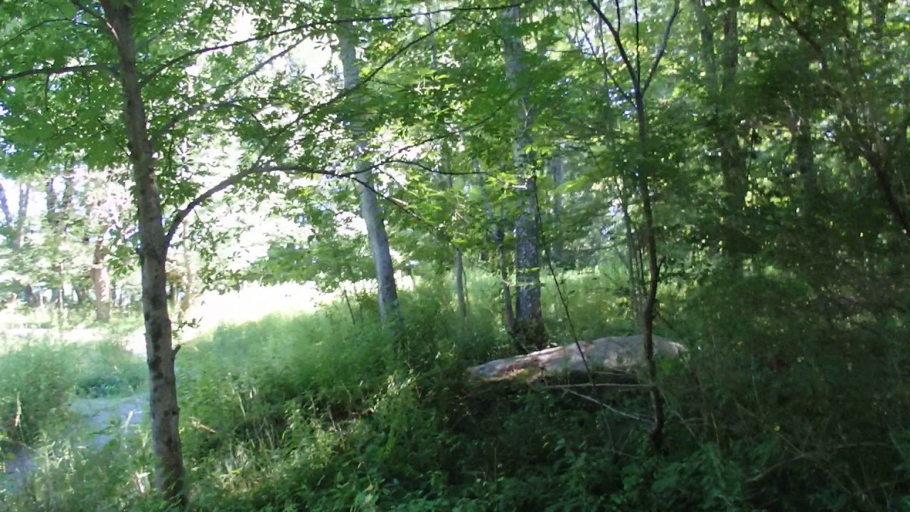 Waneta Lake, Willowemoc Wild Forest - YouTube