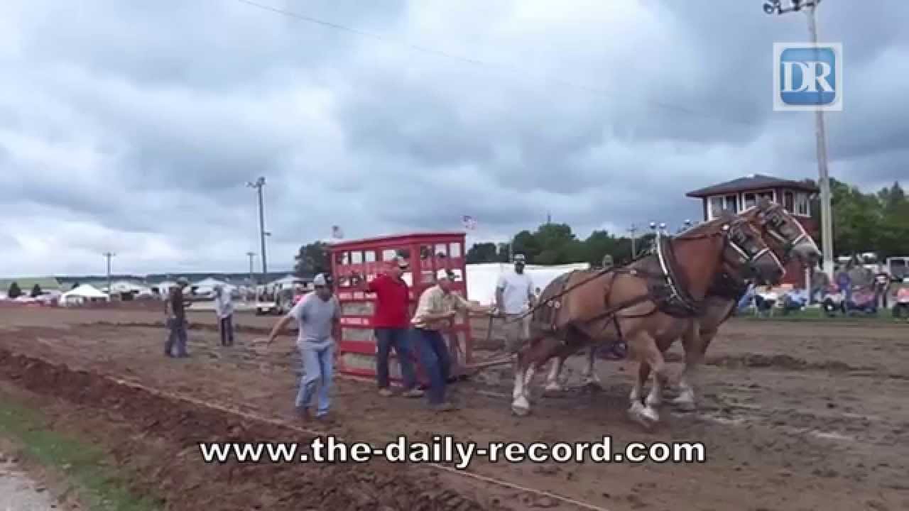 Jeff Young of Tate Farms (Shreve) at Wayne County Fair horse pull - YouTube