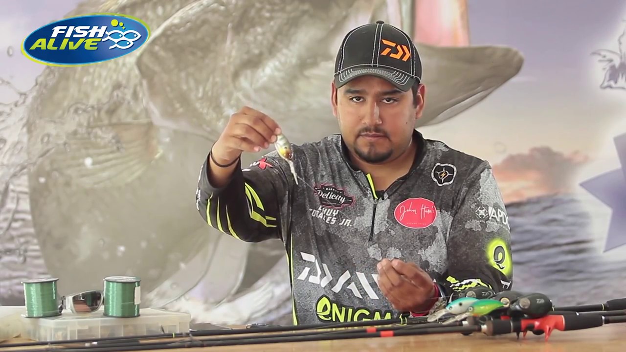 Tip de pesca con Chuy Morales Jr - YouTube