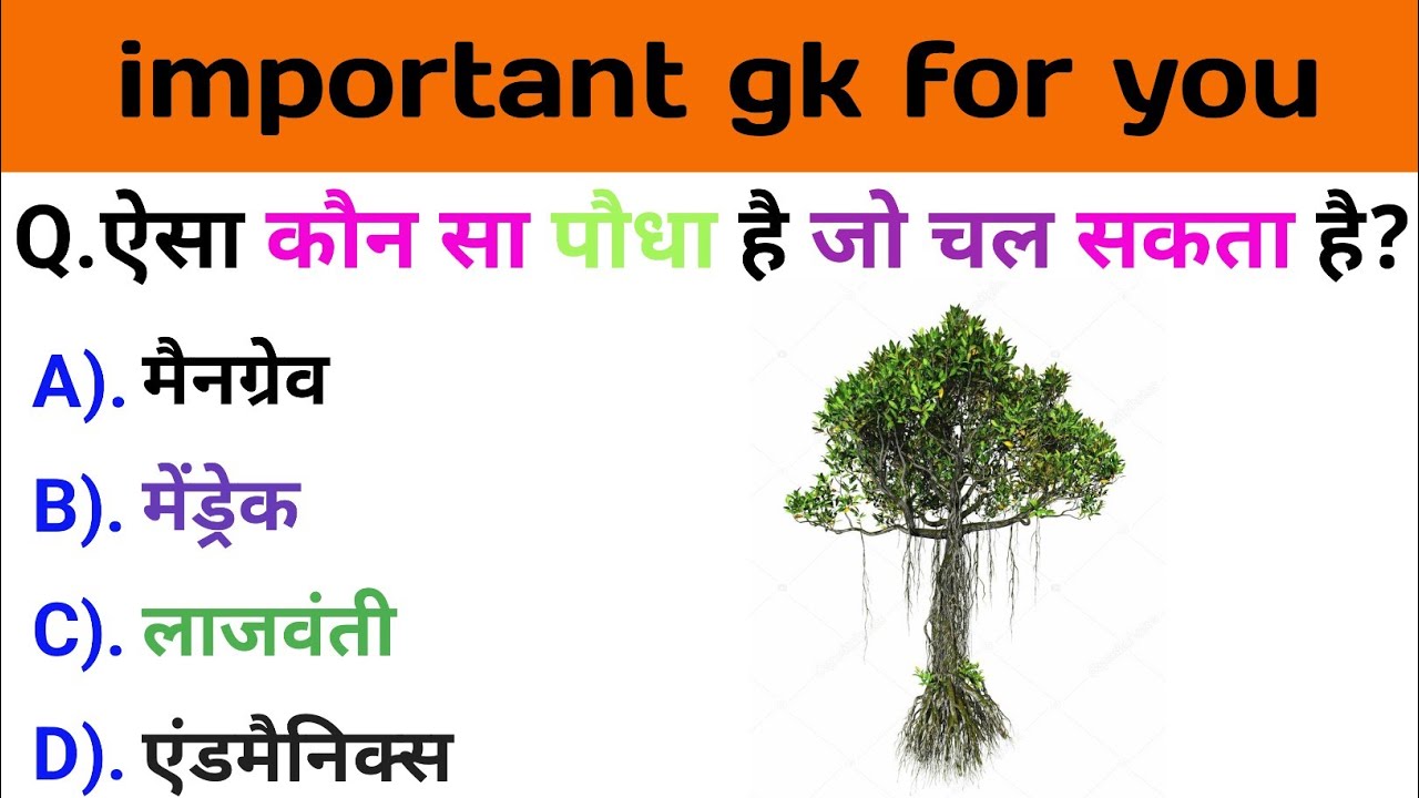 कौन सा पेड़ चलता है || Kaun Sa tree Chalta Hai || Hindi Gk || Gk video ...