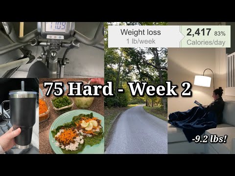 Andy Friscella's 75 Hard Challenge: Week 2 Update on Workouts, Meals ...