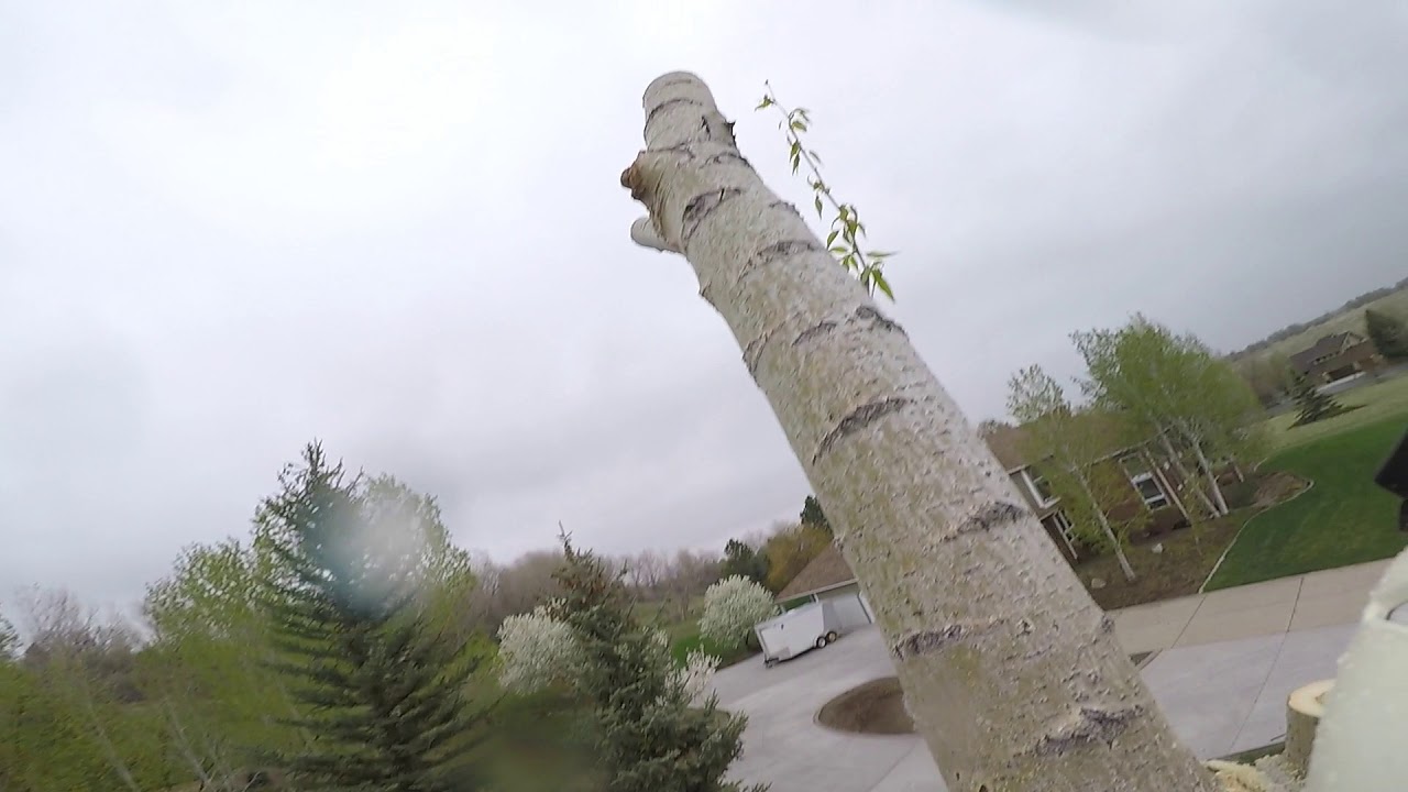 dropping logs - YouTube