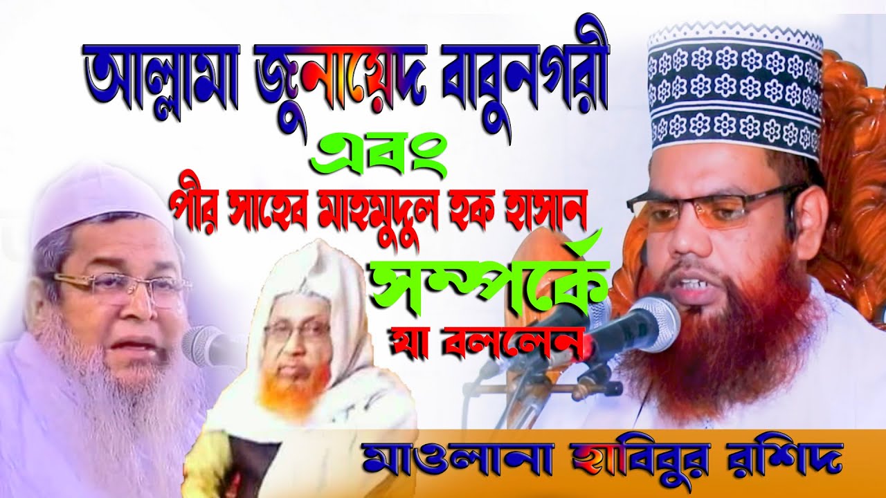 বাবুনগরী হাফিজাহুল্লাহ ও পীর মাহমুদুল হক সম্পর্কে যা বললেন... Mawlana ...