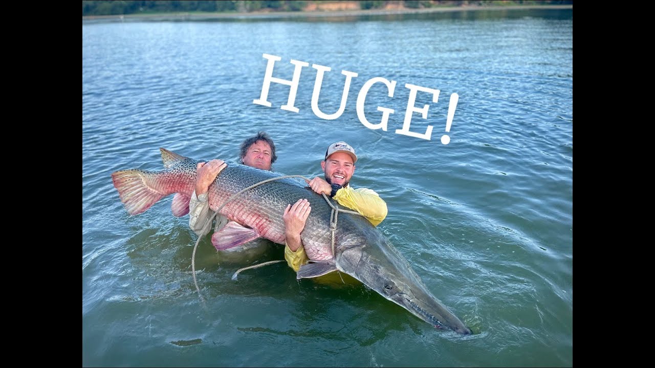 Texan Dinosaurs: Giant, Prehistoric Alligator Gar - YouTube