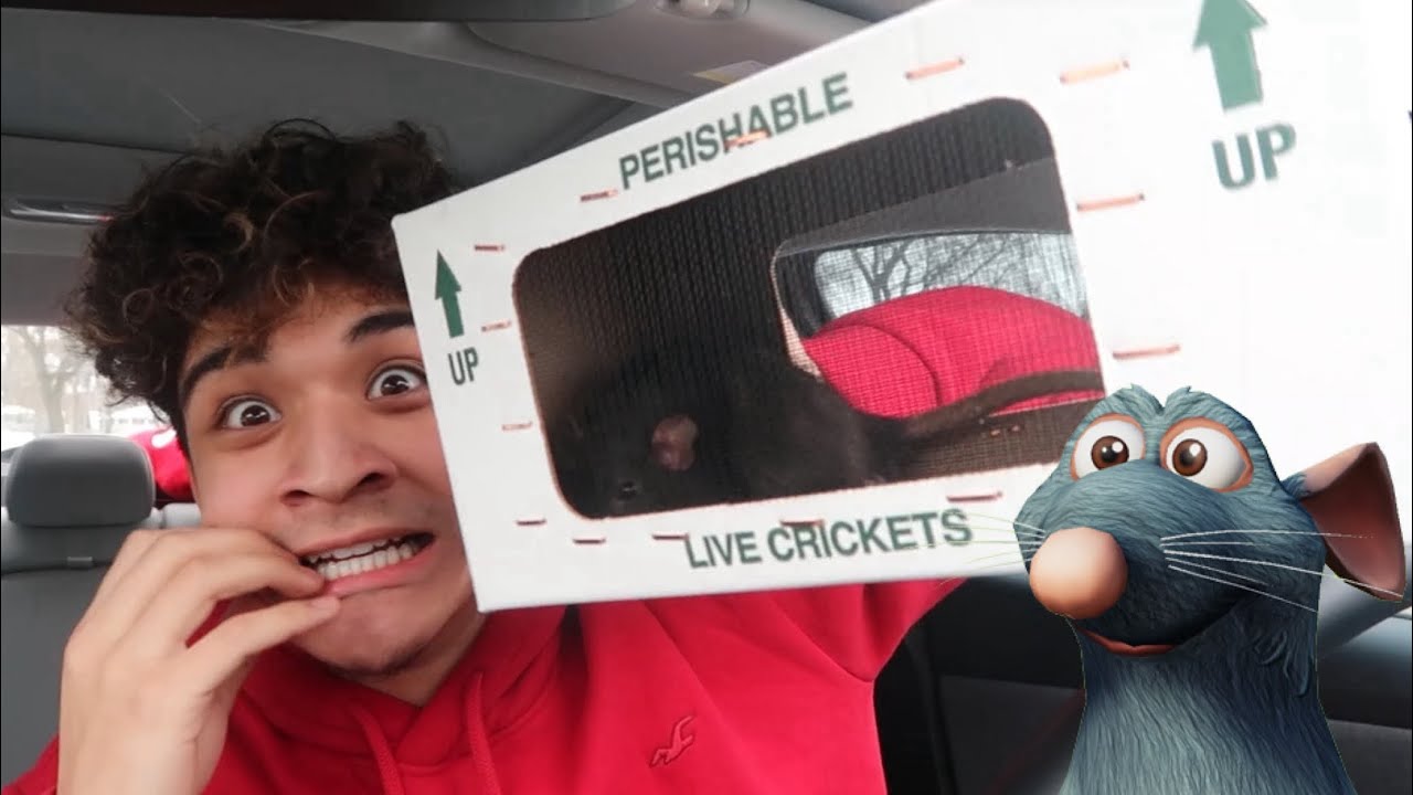 Throwing a rat at my sister! - YouTube