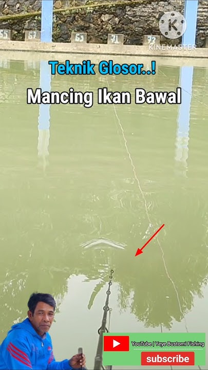 Teknik Glosor..!! || Mancing Ikan Bawal #shorts - YouTube
