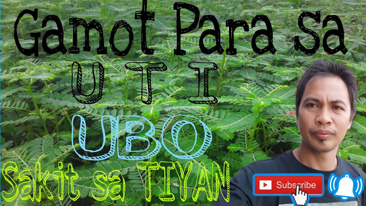 Gamot para sa Sakit nga U T I,UBO masakit ang TIYAN. - YouTube