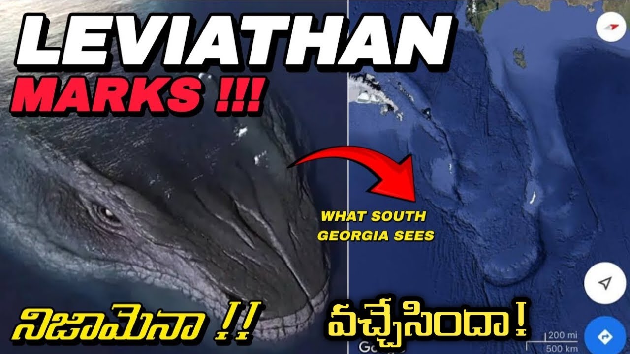 లెవియాతన్ నిద్రలేచింది - ఇక ప్రళయమే?| Leviathan Behemoth |Leviathan in Bible |Meaning of ...
