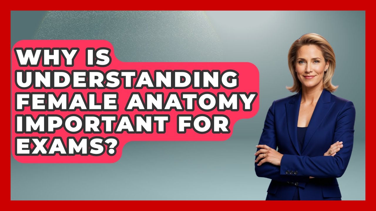Why Is Understanding Female Anatomy Important For Exams? - All About ...