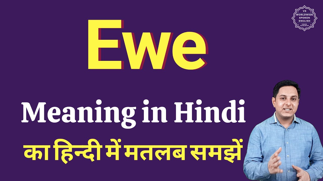 Ewe meaning in Hindi | Ewe ka matlab kya hota hai - YouTube