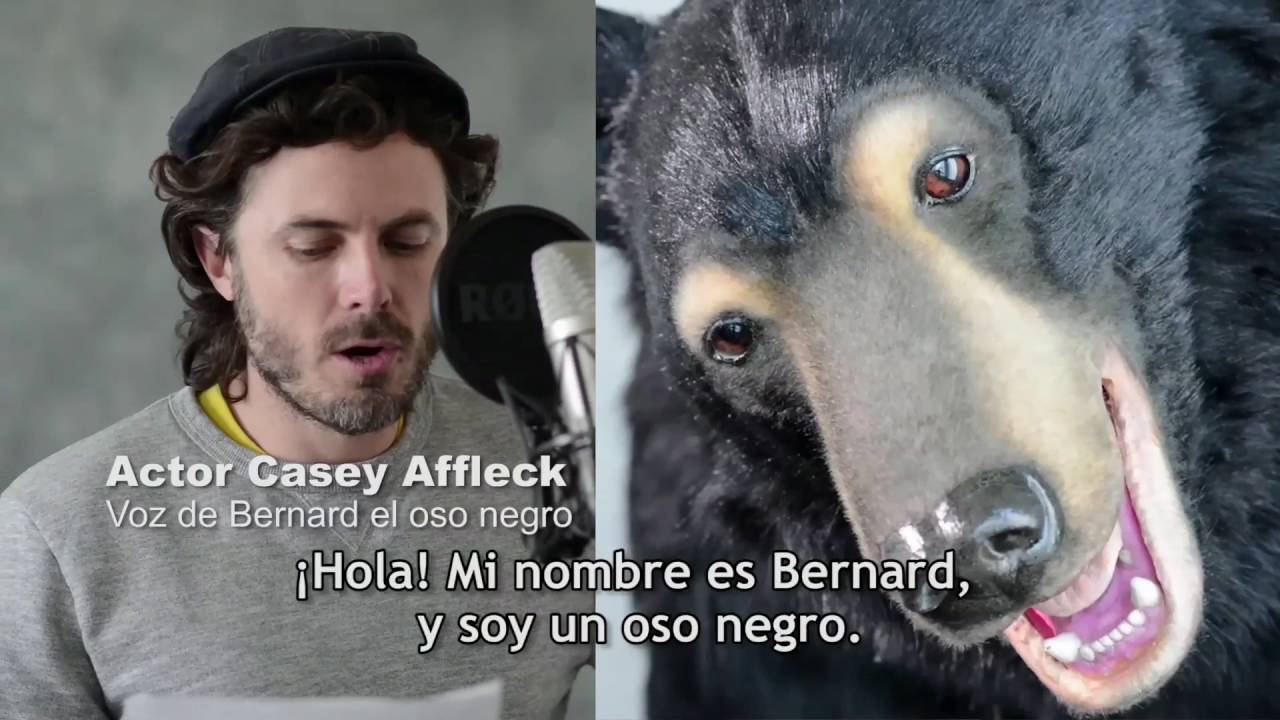Conoce a Bernard, el oso robot que le cuenta a los turistas sobre su ...