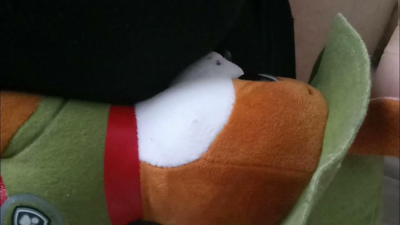 Farting On Paw Patrol Plush Tracker Youtube
