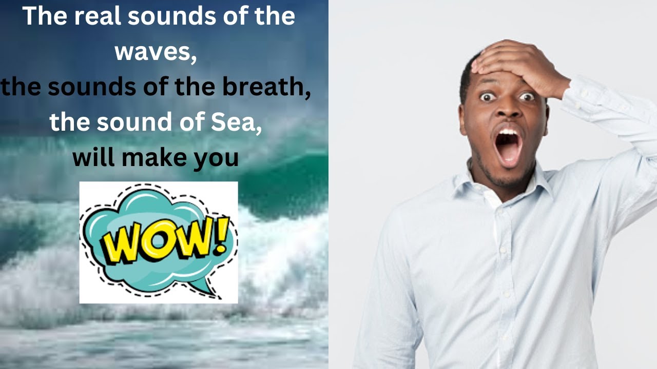 The sounds of the sea, the real sound of the waves you have never ...