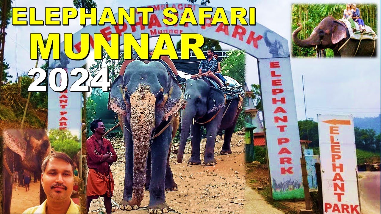 Elephant Safari Munnar | Munnar Elephant Ride 🐘| Munnar Tourist Places ...
