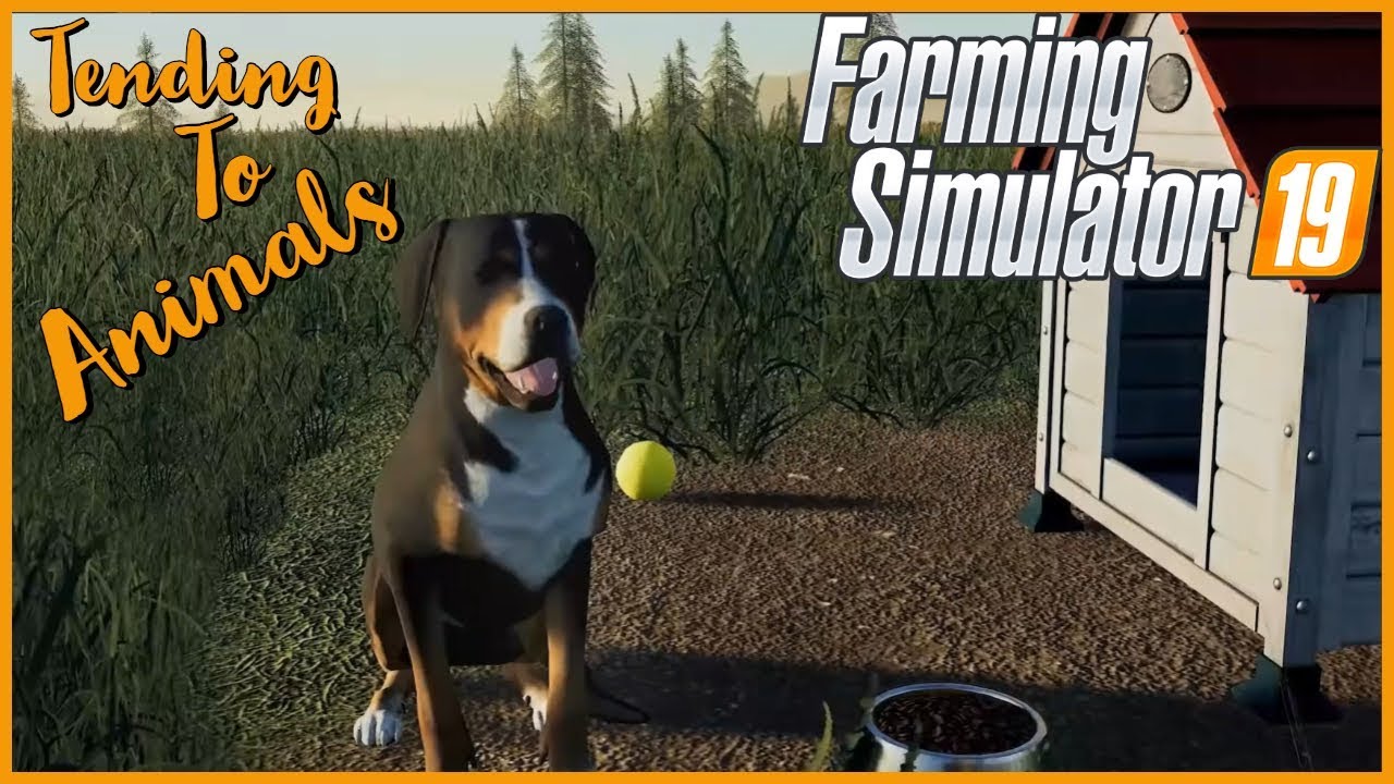 NEW FS19 TRAILER | Tending to Animals Gameplay | Farming Simulator 19 ...