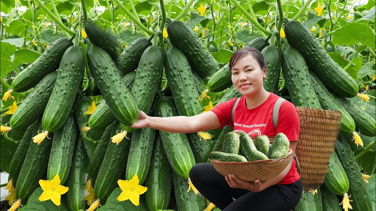 Shocking: Giant Python Attacks Sister! Brave Girl Fights Giant Python ...
