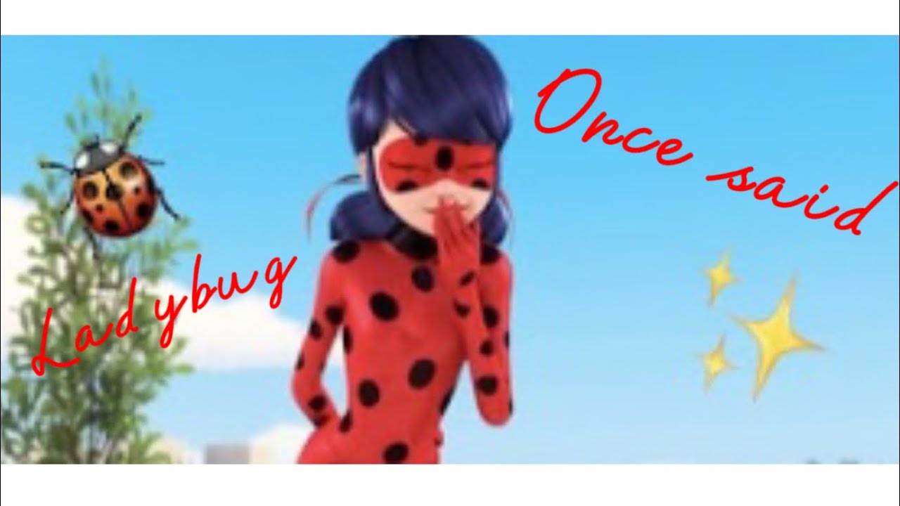 Ladybug Once Said - YouTube