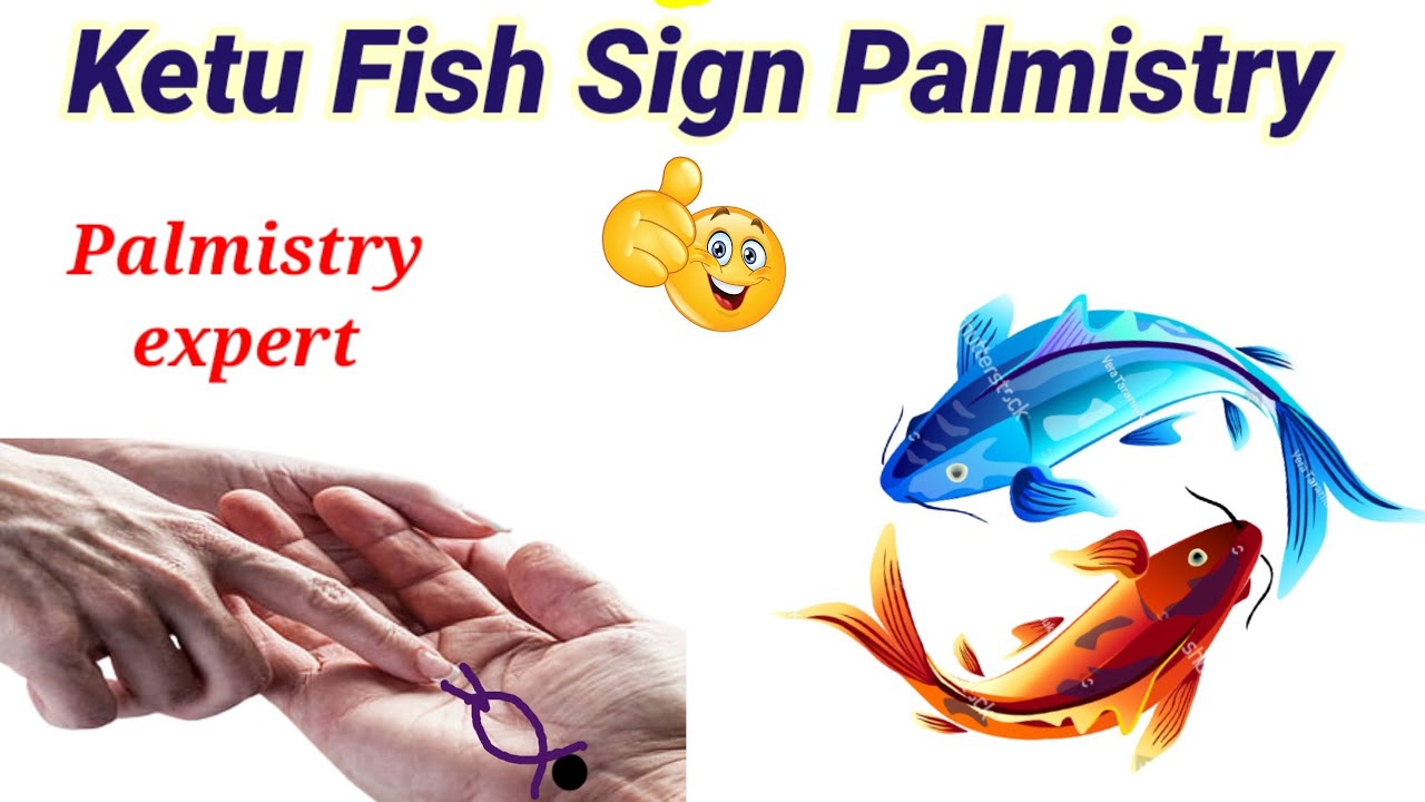 केतू पर्वत पर मछली का निशान | ketu parvat par machli | Fish sign on ...