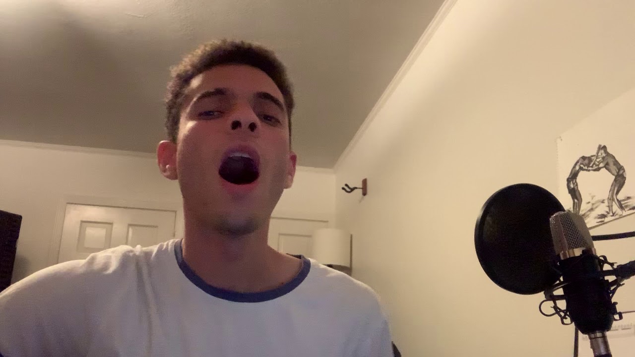 Lauv - Reforget (cover) Ron Cecchetti - YouTube