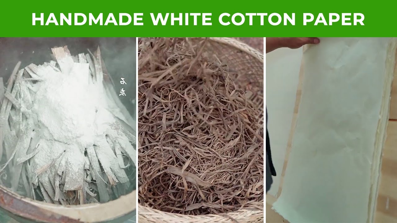 Crafting White Cotton Paper Using Traditional Handmade Techniques ...