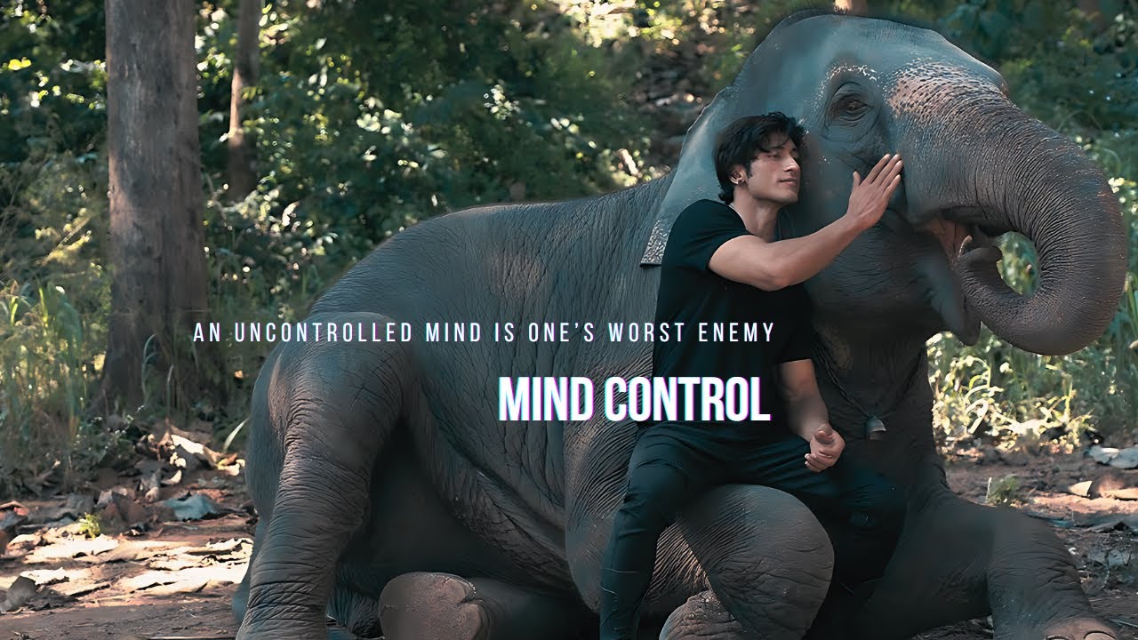 MIND CONTROL - An uncontrolled mind is one’s worst enemy - YouTube