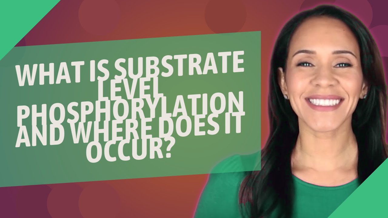 What is substrate level phosphorylation and where does it occur? - YouTube