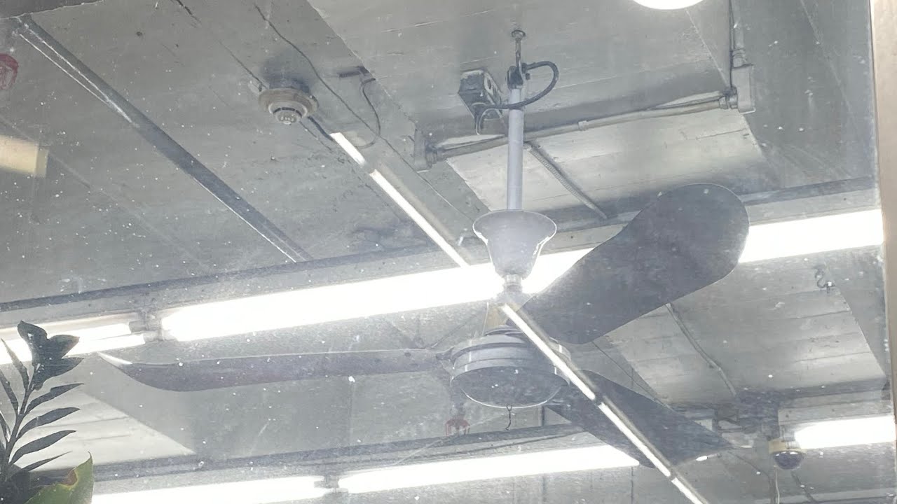 Canarm CP56 (Union) ceiling fan at a convenience inside a metro station ...