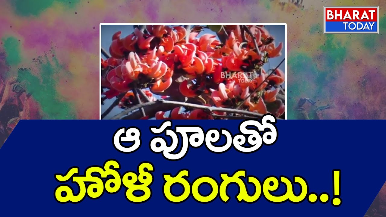 Special Story on Moduga Flowers | శివునికి ఇష్టమైన పూలతో హోలీ |Holi ...