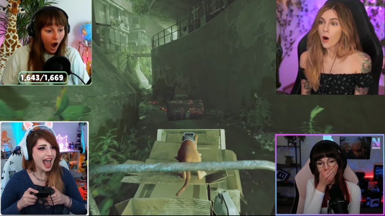 Stray game -Streamers react (fall cat #2) - YouTube