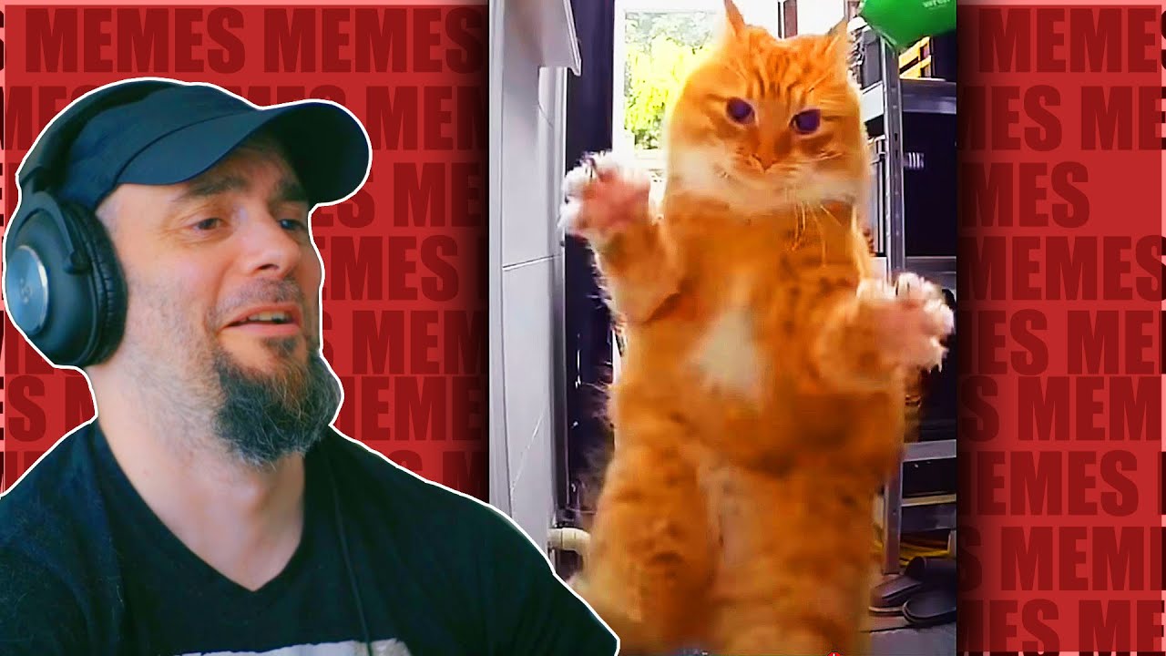 Videos Graciosos - TU DOSIS DE MEMES - SI TE RÍES... MEME PERDONAS ...