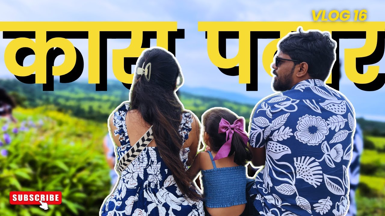 Kaas Plateau: The Valley Of Flowers In Maharashtra | Kaas Pathar Satara ...