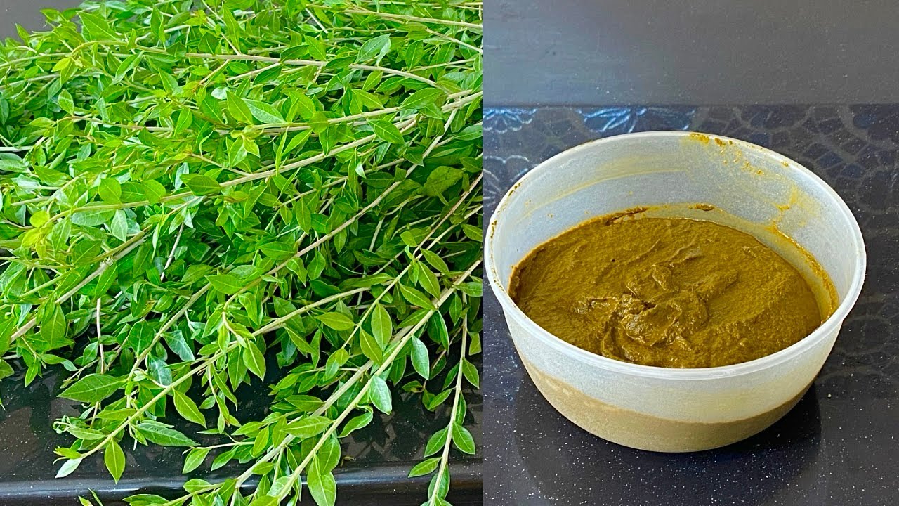 Fresh Henna Leaves For Hair/ मेहंदी के पत्तों को बालों के लिए ऐसा पीसना ...