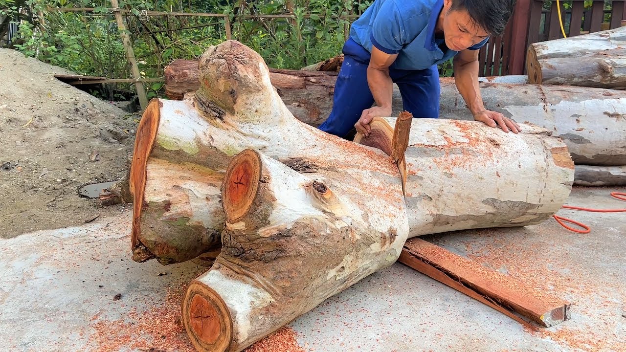 Largest Rustic Monolithic Table From the Root Rare Ancient Giant Tree ...