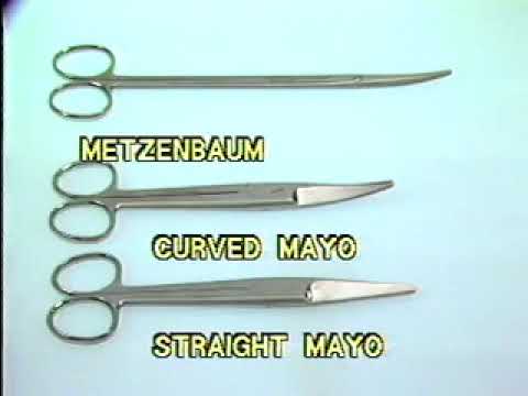 Fundamental Surgical Technique of Ventral Midline Abdominal Approaches ...