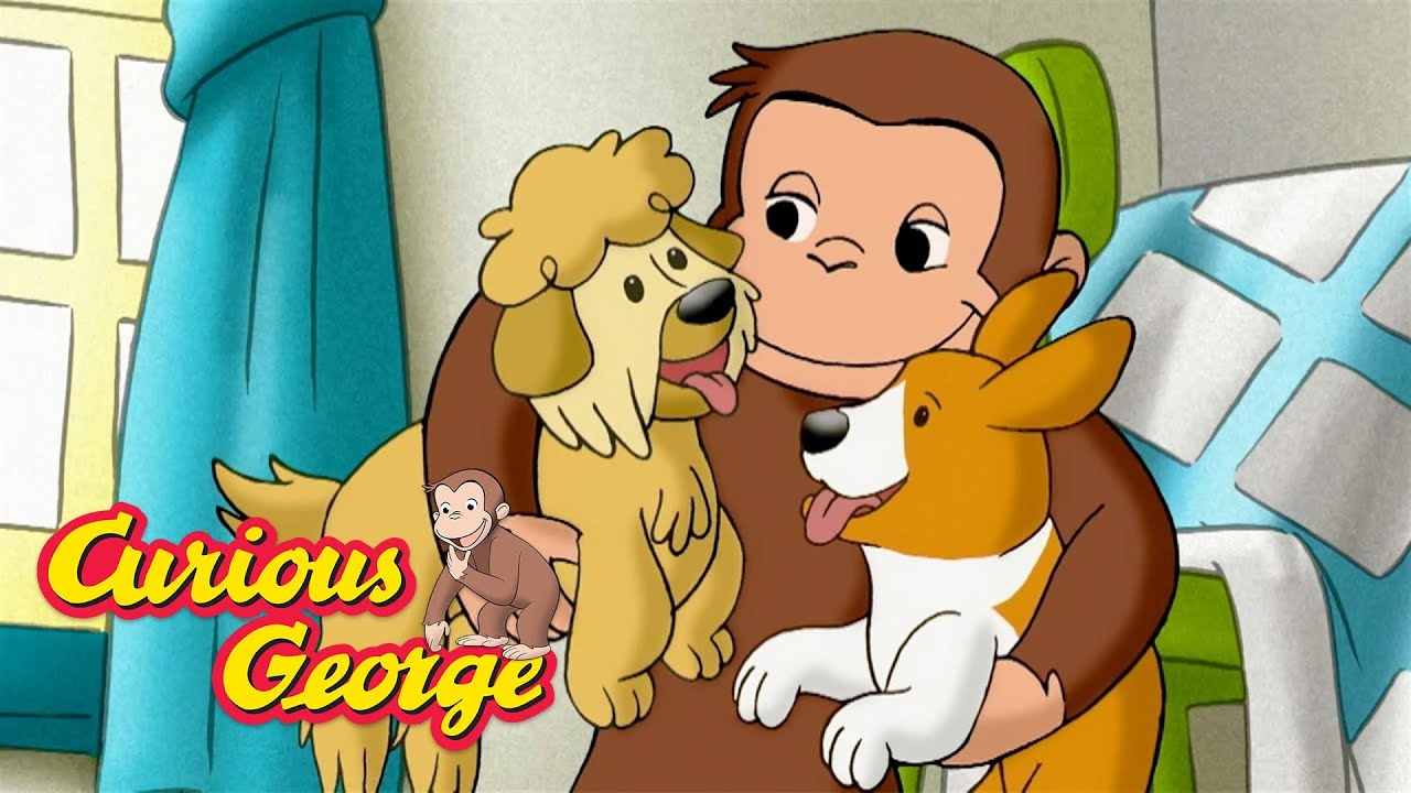 George's Dog Filled Apartment! 🐵 Full Episodes | Curious George - YouTube