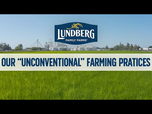 Lundberg Family Farms Logo Lundberg Family Farms 8OZ OG WILD RICE