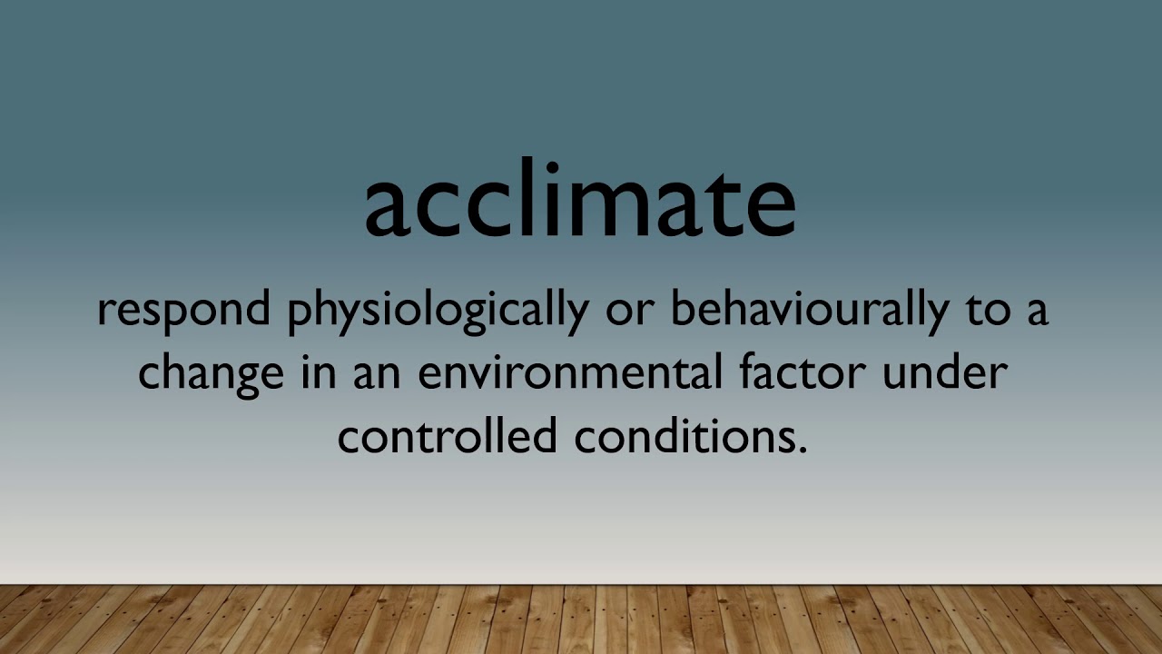 acclimate Pronunciation & Meaning - YouTube