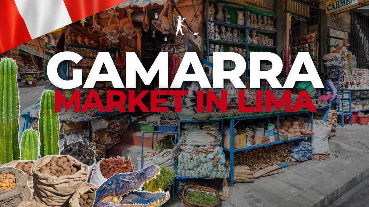 Walking Through Lima Peru's Witch Market | Gamarra Walking Tour 2024 - YouTube