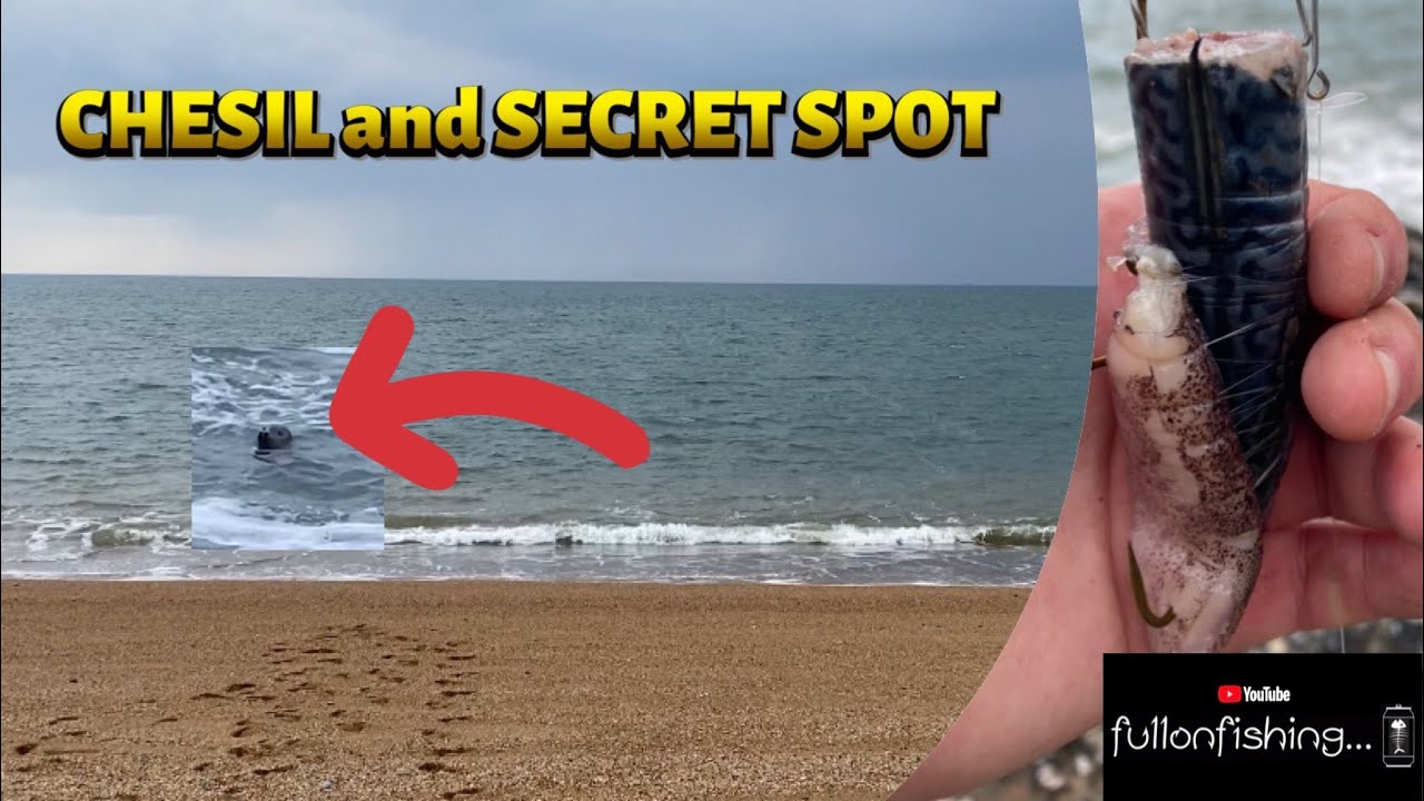 FULL DAY and NIGHT Sea Fishing CHESIL BEACH and a SECRET SPOT. ROCK ...