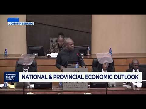 MEC Maile delivers Gauteng’s 2026 Provincial Budget (full speech ...