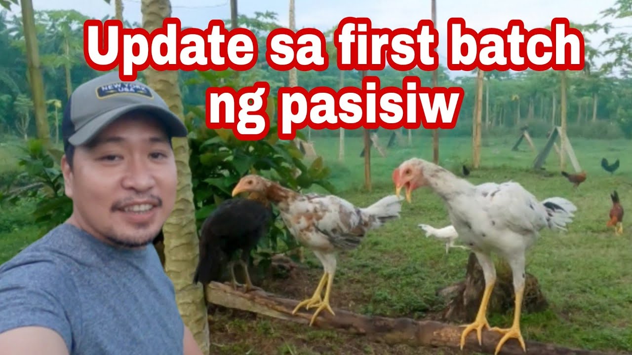 White Kelso x Super Sweater | Mclean Hatch x white kelso | Mel Sims ...