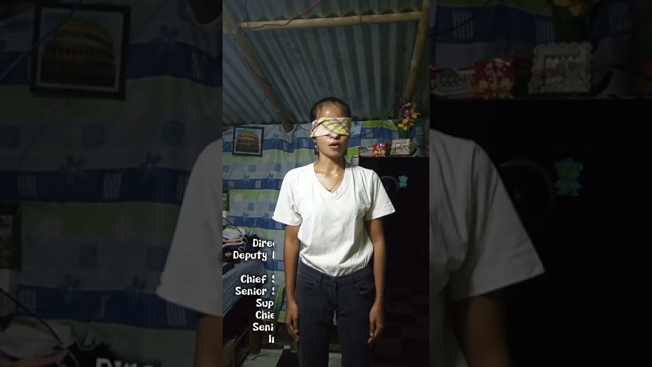 The Power and Function of PNP, the Vision and Mission and the Old and ...